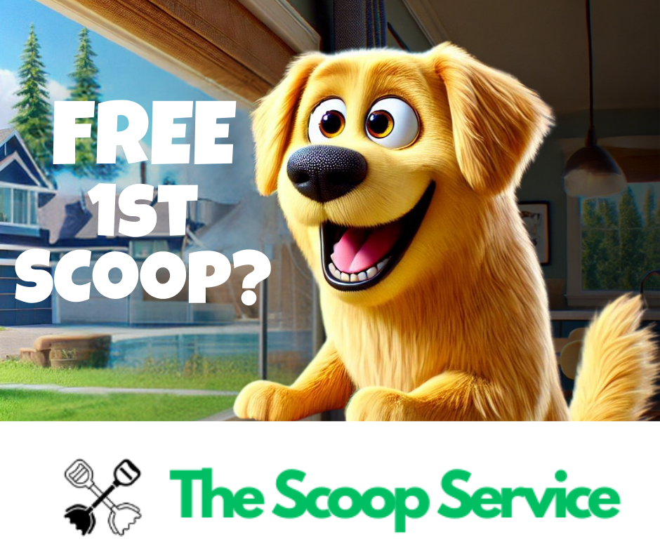 How to Select the Best Poop Scooping Services! - The Scoop Service