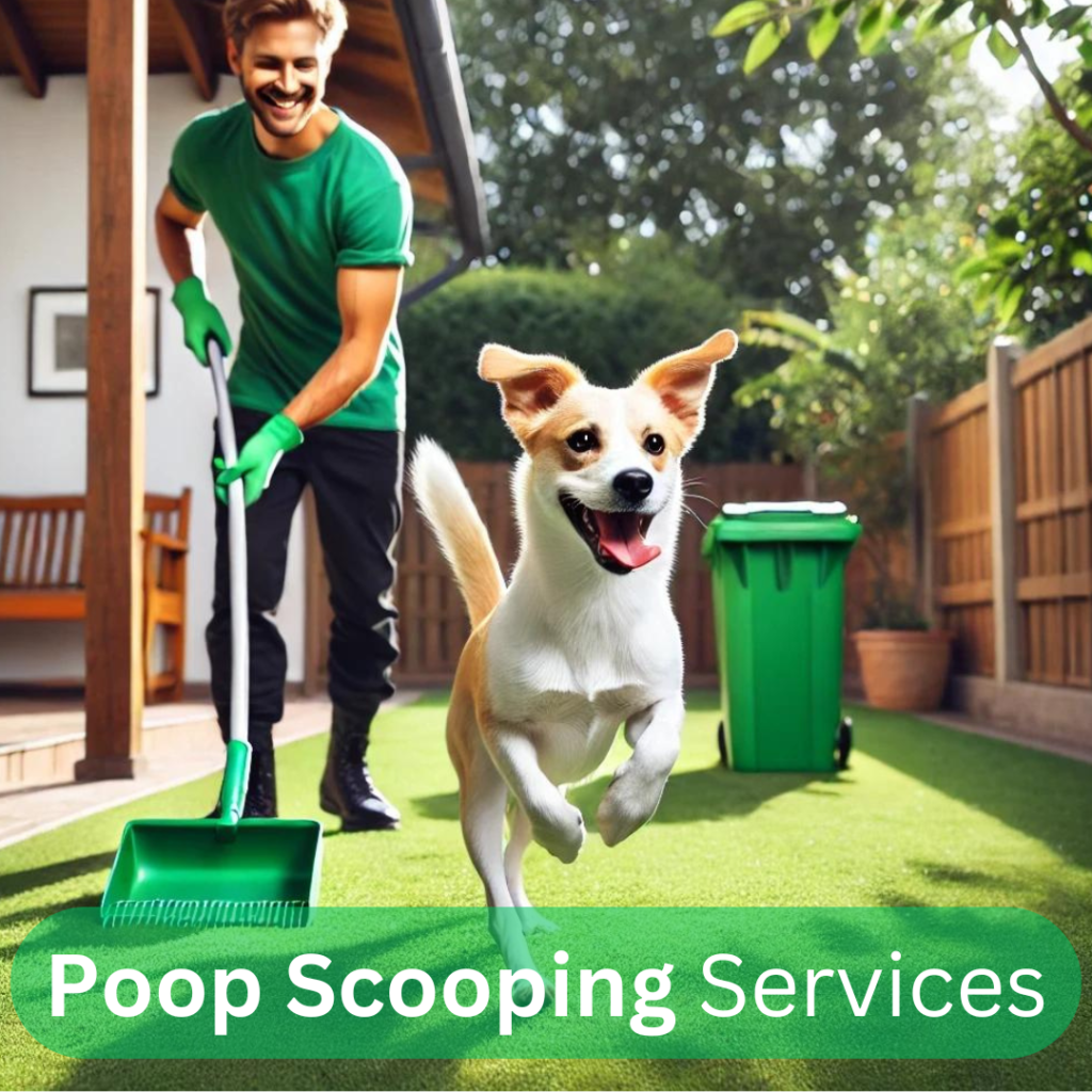How to Select the Best Poop Scooping Services! - The Scoop Service