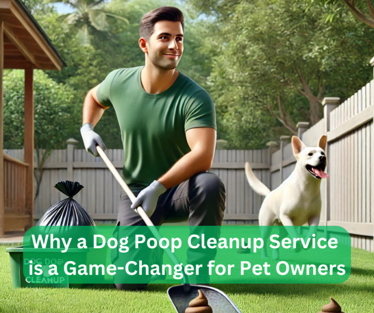 Why a Dog Poop Cleanup Service is a Game-Changer for Pet Owners - The ...